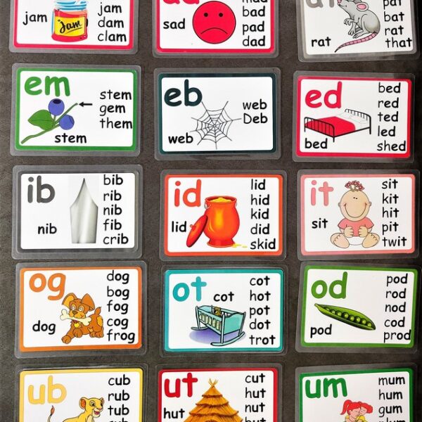 Short Vowel Sounds CVC Flash Cards – HighFive Library